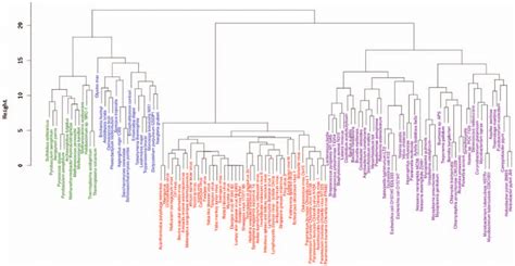 Hierarchical Clustering Of Eukarya Blue Bacteria Purple Archaea Download Scientific