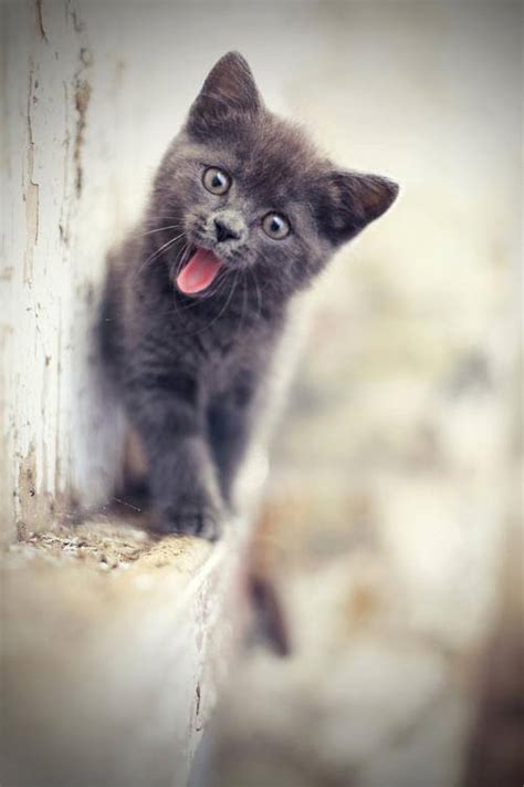 ერთად დავიცვათ სიცოცხლე