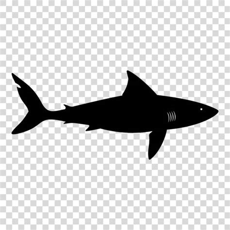 60 Tiger Shark Logo Stock Illustrations Royalty Free Vector Graphics
