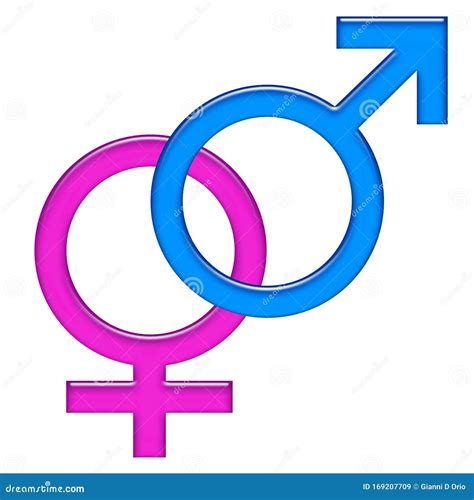 Icône Mâle Et Femelle De Symboles De Type Illustration Stock