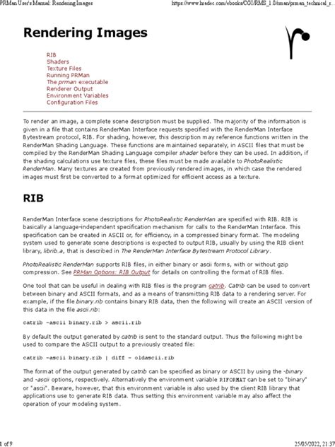 prman notes pdf shader rendering computer graphics