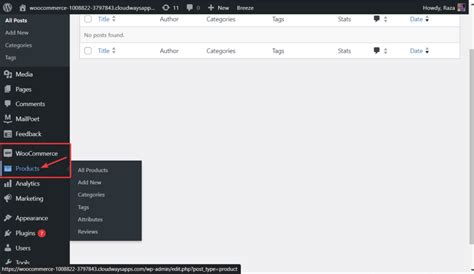 Learn How To Display Woocommerce Product Description