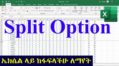 Excel Tutorial Using The Split Option To See Your Data ኤክሴል ላይ