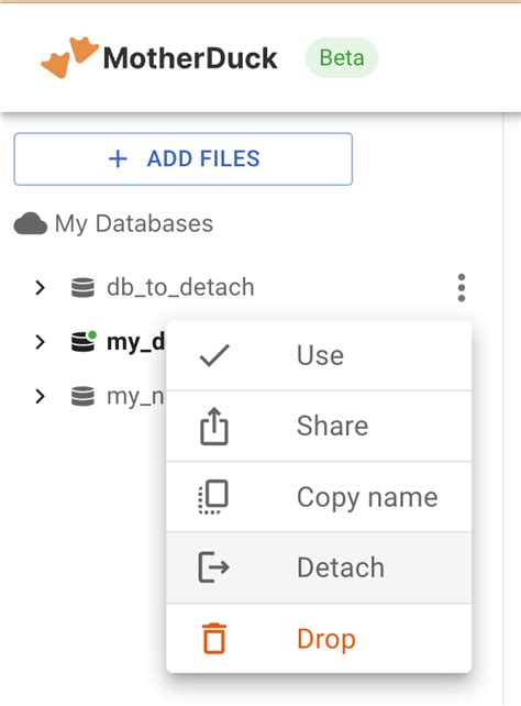 Detach And Re Attach A Motherduck Database Motherduck Docs