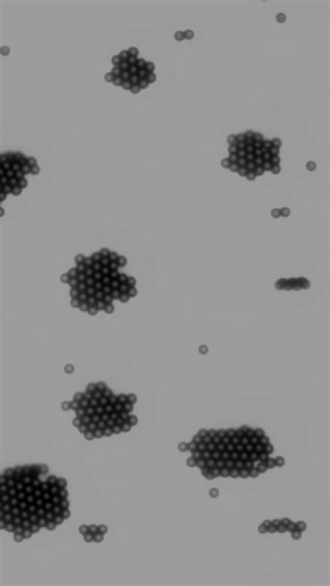 A New Microrobot That Can Catch All The Microplastics And Bacteria In
