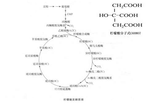 食品配料表中的柠檬酸会对人体导致的危害! 知乎 食品配料表中的柠檬酸会对人体导致的危害! 知乎