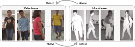 Illustration Of The Visible Infrared Cross Modality Reid Task Download Scientific Diagram
