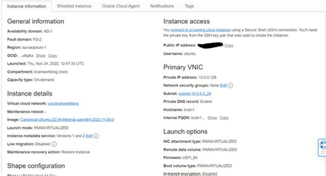 Servidor ARM grátis na Oracle Cloud Brainwork