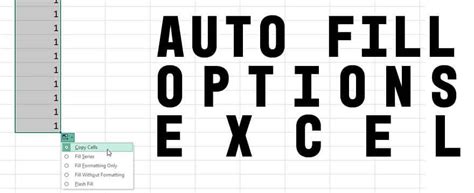 Auto Fill Options I Excel EnkelExcel Dk