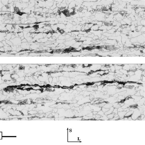 Steel Microstructure Consisting Of Ferritic Grains Pearlite Bands And Download Scientific