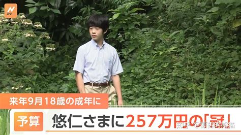 爱子公主迟迟不做的皇冠，悠仁亲王要花大钱制作？ 知乎