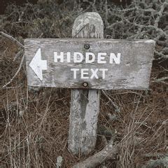 How To Hide Text In Microsoft Word 2007 Reveal It Protect It