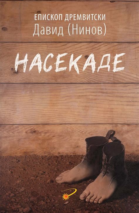 „Насекаде“ нова поетска книга од епископот Давид Нинов