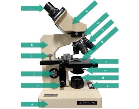 Microscopic Label Quiz