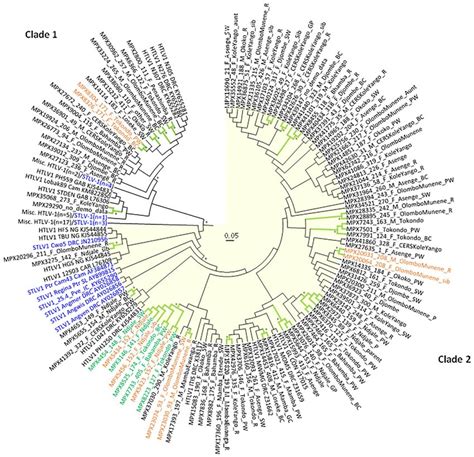 Circular Bayesian Phylogenetic Subtree From Fig 2 Containing Drc Ltr
