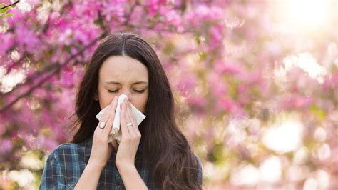 Is Botanical Sexism To Blame For Heavy Allergies Wtsp Com