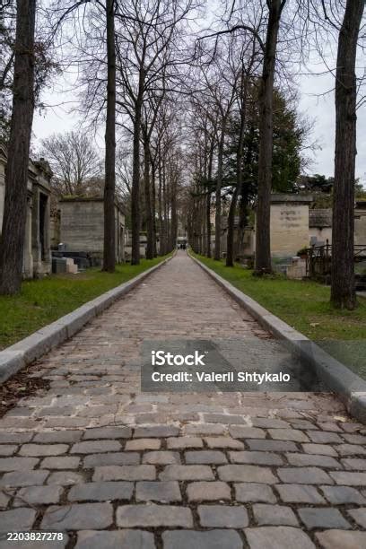 시원하고 흐린 날에 벌거벗은 나무와 고대 묘비가 늘어선 유서 깊은 묘지를 통과하는 조용한 길 가을에 대한 스톡 사진 및 기타 이미지 Istock