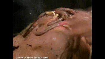 Worms Search XVIDEOS COM