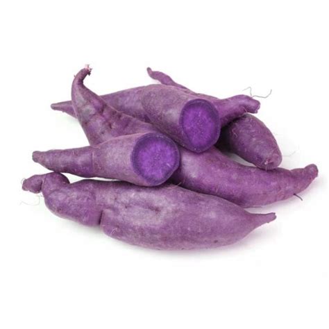 Sweet Potato Erato® Violet Ipomoea Batatas 3 Plants In Root Ball