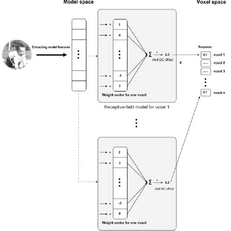 Mapping From Model Space To Voxel Space The Figure Shows The Process Download Scientific