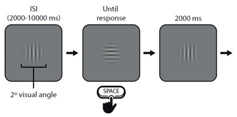 Stimuli And Trial Sequence For Experiment 2 Participants Monitored A
