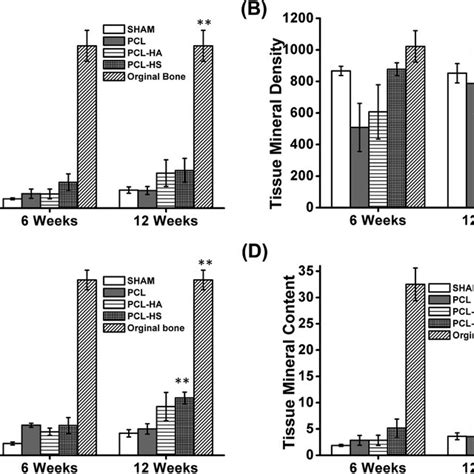 Quantitative Comparison From Micro Ct Analysis A Bone Mineral