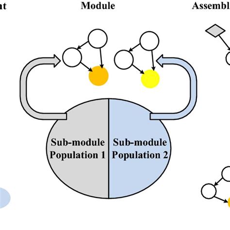 An Assembled Network Of Codeepneat Download Scientific Diagram