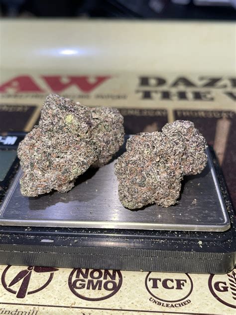 Grand Daddy Pluto Splash Bros