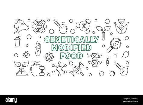 Genetically Modified Food Vector Minimal Horizontal Illustration In