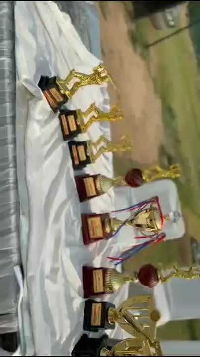 Video Aadisha Dullar On Linkedin Cricket Tournament Sports