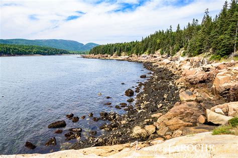 Jennifer Laroche Photography Coastal Maine Photography Prints