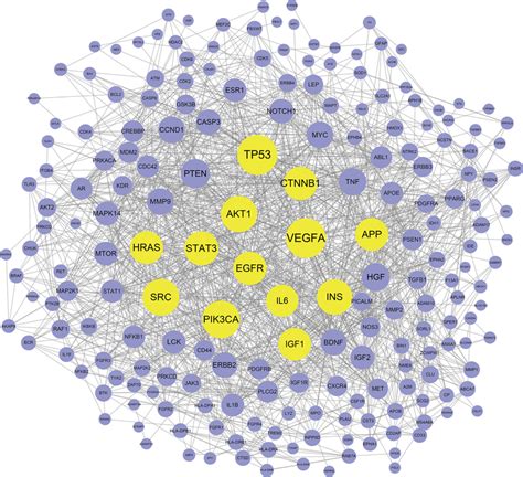 Ad Targets Network Ad Target Network Was Generated By Cytoscape 360