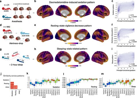 Shared Spatial Signature Of Cortex Wide Bold Amplitude Relating To Download Scientific Diagram