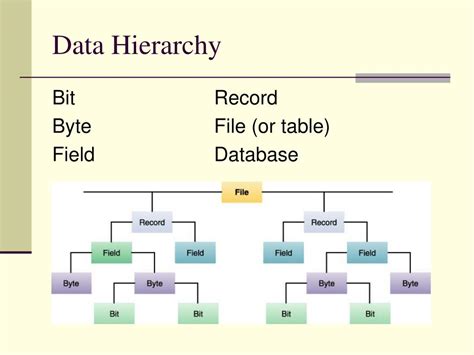 Data Hierarchy Records At Nancy Green Blog