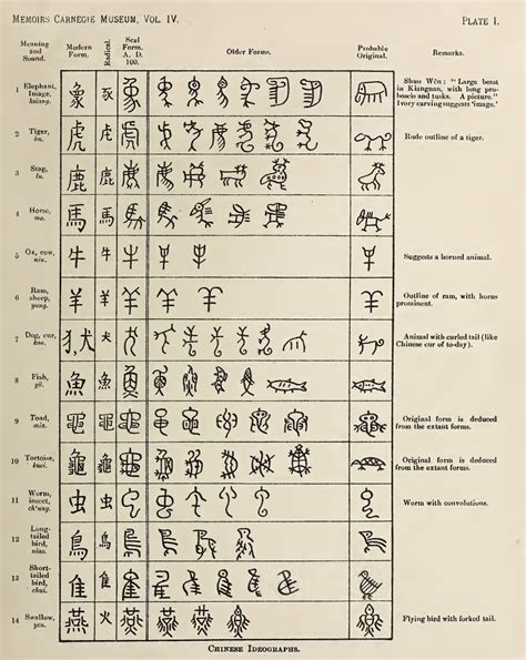 Origins Of Chinese Writing