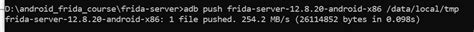 11 Upload Frida Server To The Emulator Or Device And Run Using Nohup
