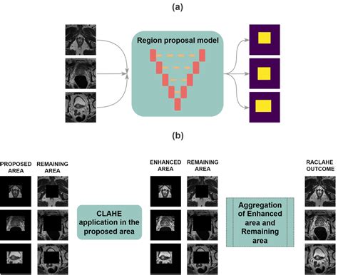 Github Dzaridisraclaheimageenhancementforcnnmodelsegmentation