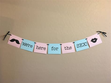 We Re Here For The Sex Banner Gender Reveal Banner Babe Mister Or Babe Miss Etsy