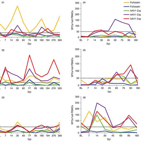 Interferon Gamma Ifn γ Elispot Assays The T Cell Immune Responses To Download Scientific