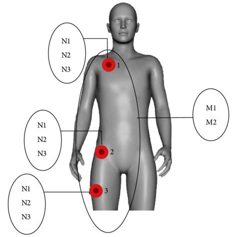 Node Placement In Different Body Parts Download Scientific Diagram