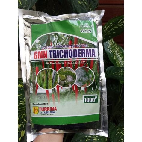 Jual Pupuk Tricoderma Sp Gmn Trichoderma Agensia Pengendali Hayati Cegah Busuk Buah Busuk Akar
