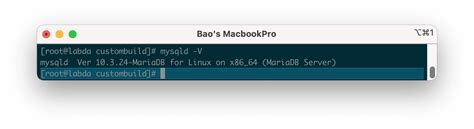 Upgrade The Mariadb Version On Directadmin