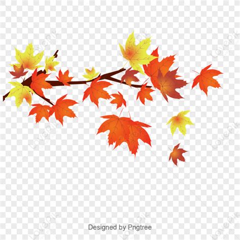 간단한 천연 식물 원 디자인패턴 화세련된단순한 Png 일러스트 무료 다운로드 Lovepik