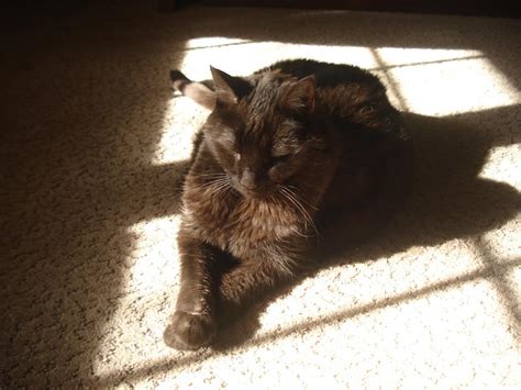 Ryan Schefstad Ryan Schefff • Instagram Photos And Videos