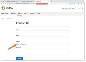 How To Auto Populate Form Fields Using Query Strings Magezon