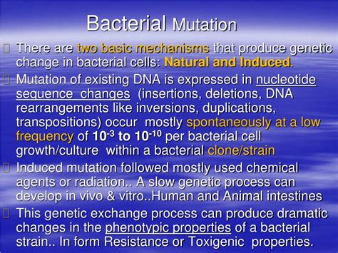 Ppt Bacterial Genetics Powerpoint Presentation Free Download Id 9567980