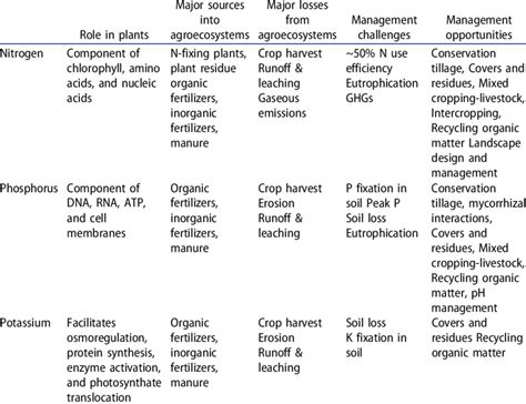 Table Of The Roles Sources Sinks And Management Of Nitrogen