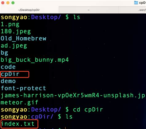 Docker数据持久化与数据共享持久化卷有问题是否可以创建docker容器 Csdn博客