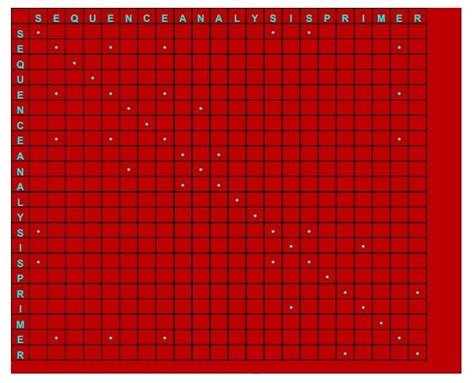 Pairwise Sequence Alignment Biomadam