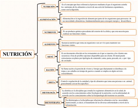 Cuadros Sinópticos De La Nutrición ⬇️ Descarga Gratis